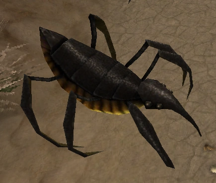 Zucker | Eldevin Wiki | Fandom