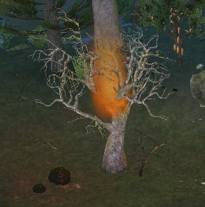 The Burning Woods | Eldevin Wiki | Fandom