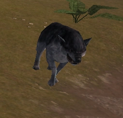 Prairie Wolf | Eldevin Wiki | Fandom