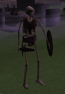 Skeleton Warrior | Eldevin Wiki | Fandom