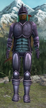 Beetle Carapace Set | Eldevin Wiki | Fandom