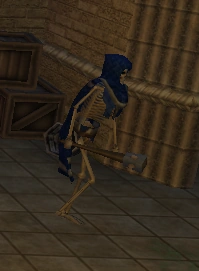 Skeleton Mage | Eldevin Wiki | Fandom