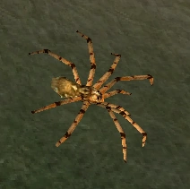 Lynx Spider | Eldevin Wiki | Fandom