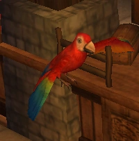 Red Parrot | Eldevin Wiki | Fandom