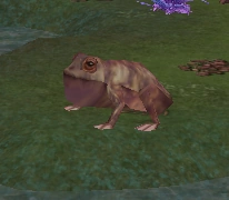 Bubble Toad | Eldevin Wiki | Fandom