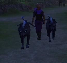 Dark Hound | Eldevin Wiki | Fandom