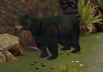 Black Bear 46 | Eldevin Wiki | Fandom