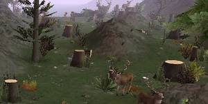 Replenishment | Eldevin Wiki | Fandom