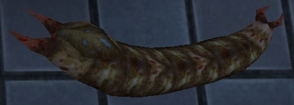 Voracious Bookworm | Eldevin Wiki | Fandom