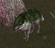 Dire Forest Wolf | Eldevin Wiki | Fandom