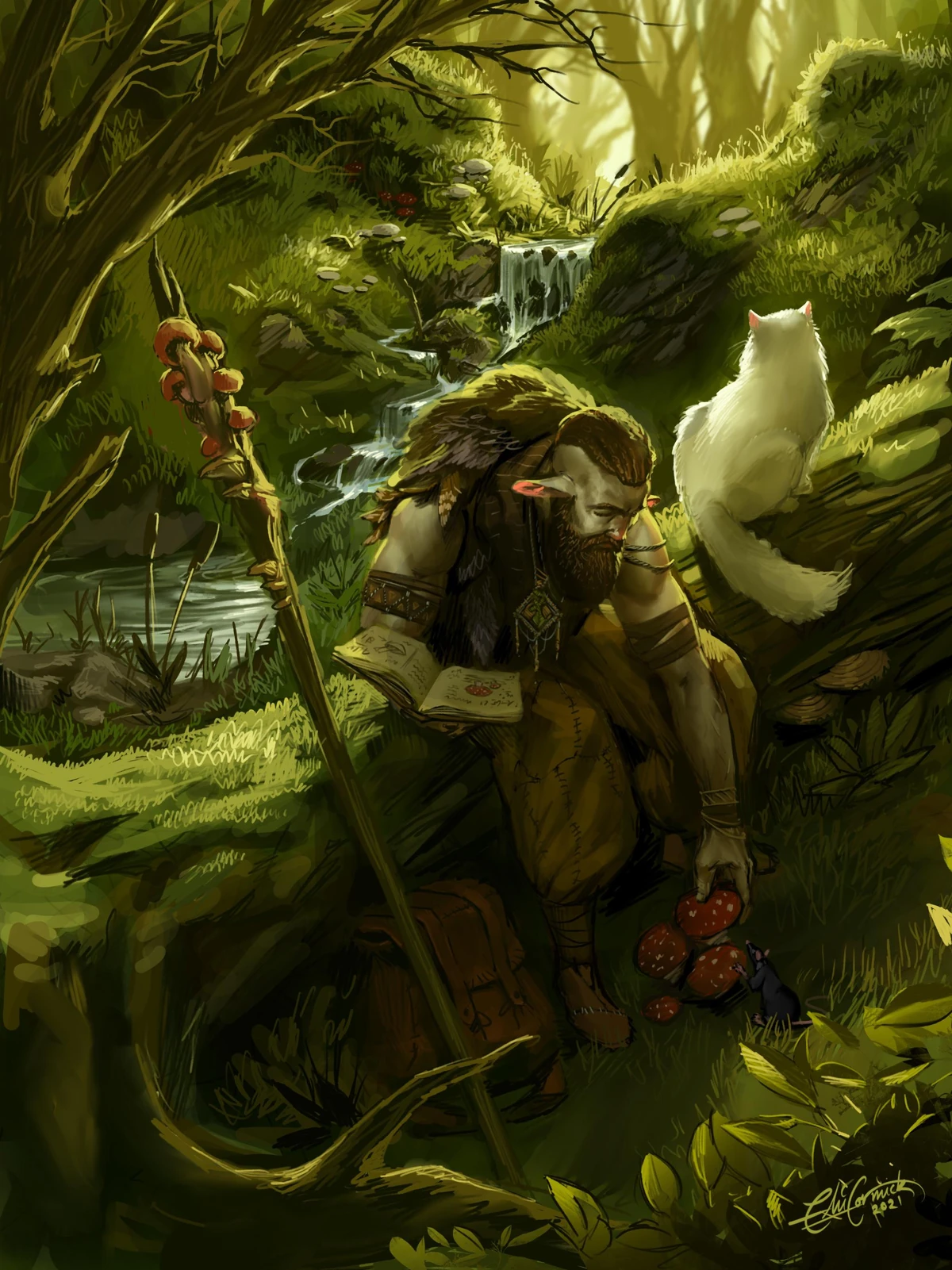 Firbolg | Eld'Pyre Wiki | Fandom