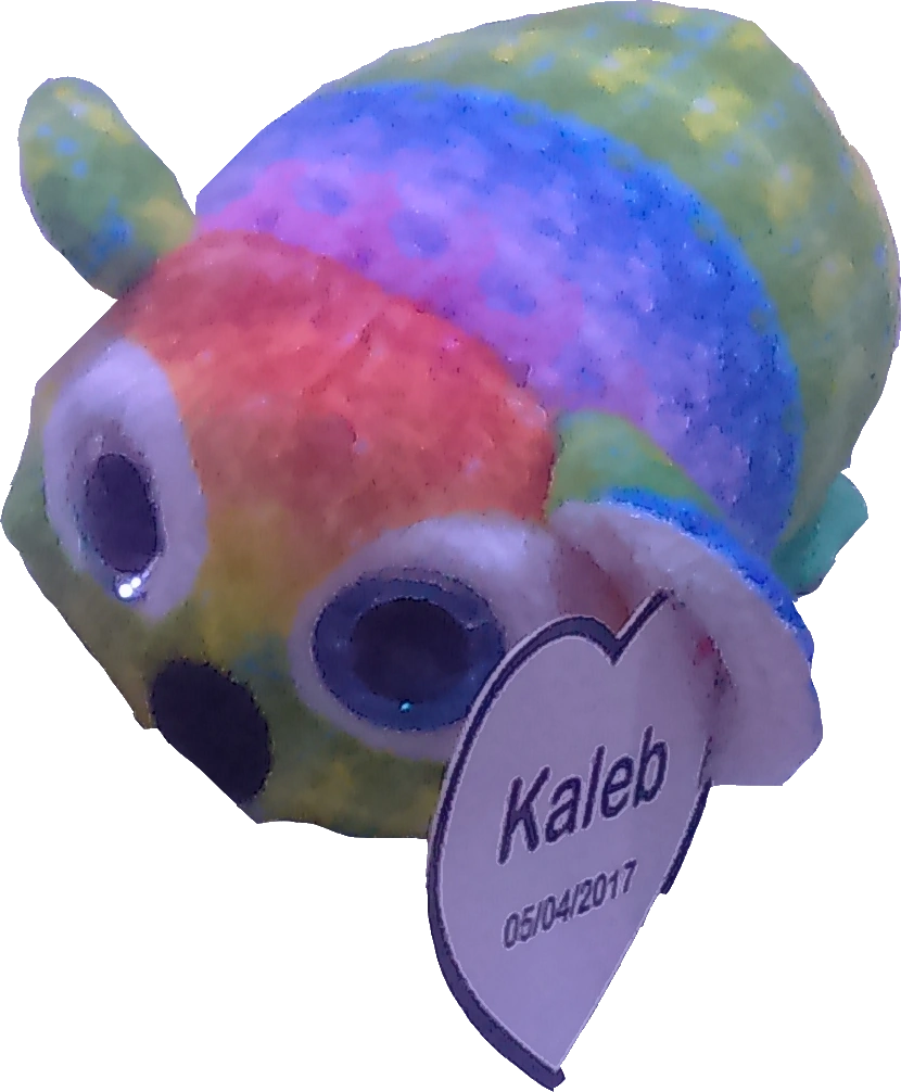 Kaleb | Encyclopedia ElectricMario | Fandom