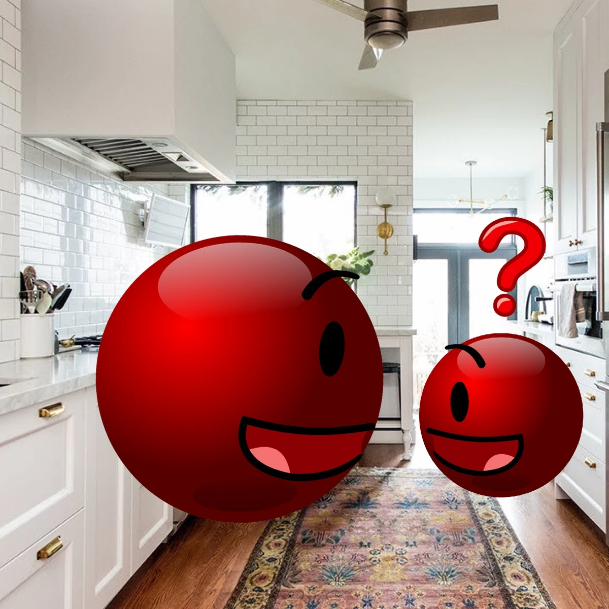 Barry’s mum | TheElectricmariofan296’s Wiki | Fandom