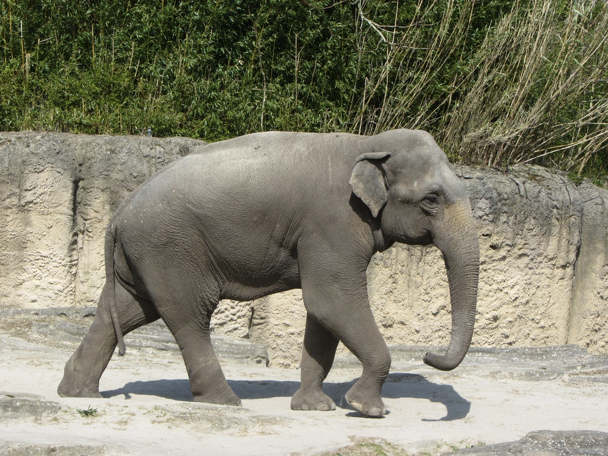 Khin Yadanar Min | EleWiki | Fandom