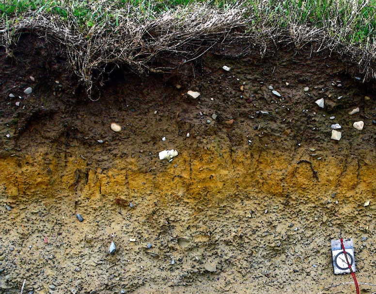 Soil | Elemental on Discord Wiki | Fandom