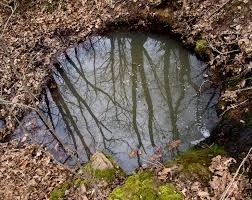 Puddle | Elemental on Discord Wiki | Fandom
