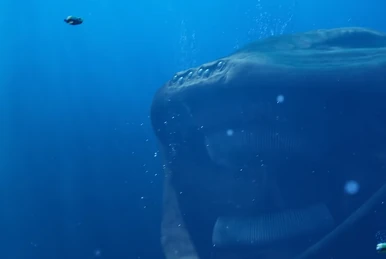 bloop underwater creature