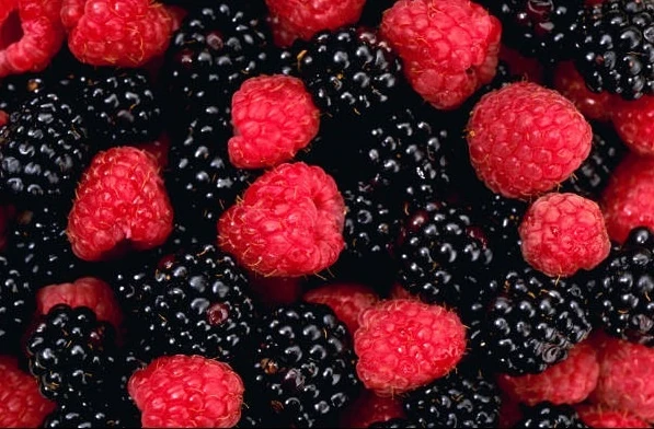 Berey | Elementen Wikia | Fandom