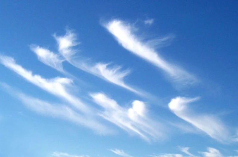 Wind | Elementen Wikia | Fandom