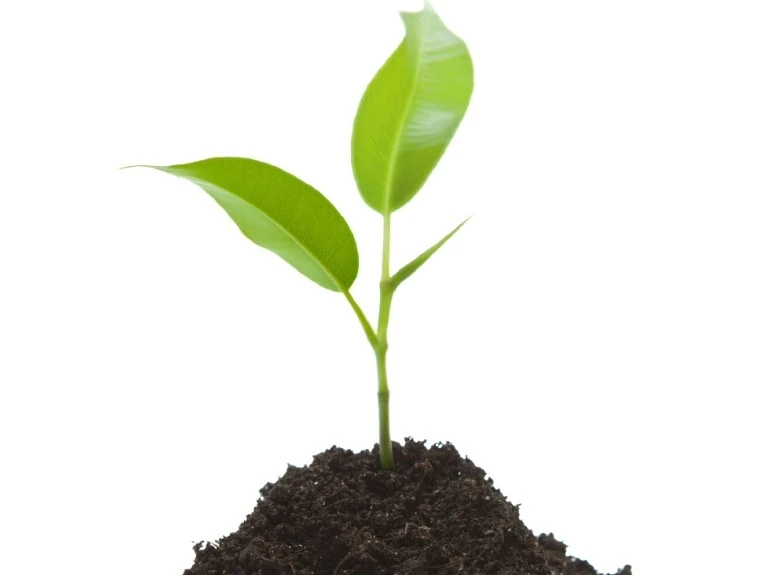 Spout | Elementen Wikia | Fandom