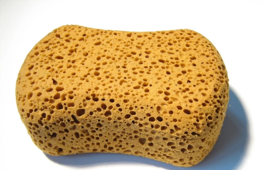 Sponge | Elementen Wikia | Fandom