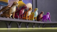 Jaquins | Elena of Avalor Wiki | Fandom