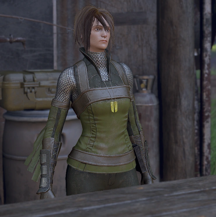 Торговка ломом (берсерк) | ELEX Вики | Fandom