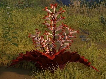 Trollkraut | Elex Wiki | Fandom