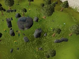 RUNECRAFTING GUIDE | Elidinis Wiki | Fandom