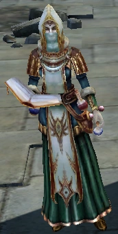 Mysterious Merchant | Eligium Wiki | Fandom