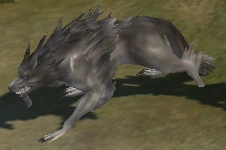 Raid Beast Cub | Eligium Wiki | Fandom