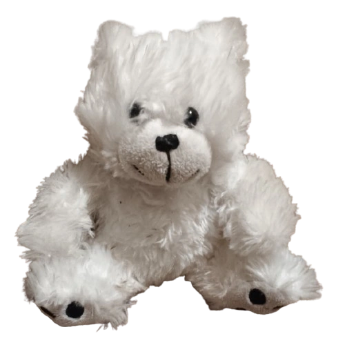 Dan | Elijah's Bear Ideas Wiki | Fandom