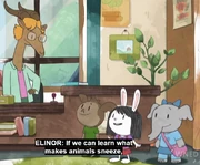 Animals | Elinor Wonders Why Wiki | Fandom