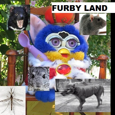 Furby land | Elita Fanon Wiki | Fandom