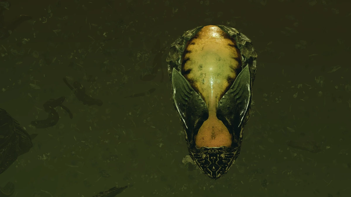 Thargoid Bio-Storage Capsule | 精英危险中文站 维基 | Fandom