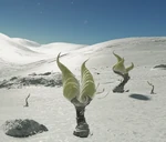 Фонтикулы | Elite Dangerous Wiki | Fandom