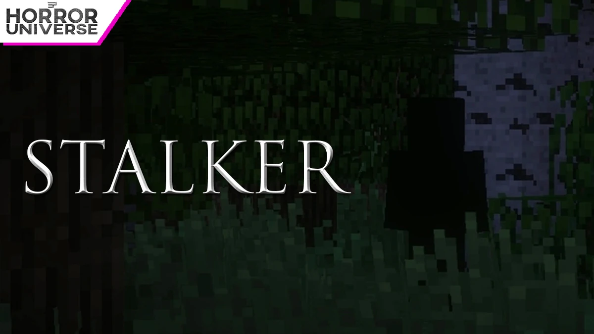 STALKER | EliteProductions Wiki | Fandom