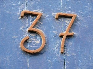 37 | Ella the Moose Wiki | Fandom