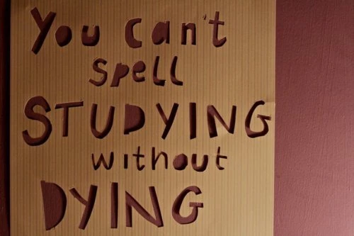 Exams | Ellesmere Chemistry Wiki | Fandom