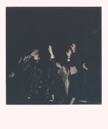 Ronan Park | Ellie Goulding Wiki | Fandom