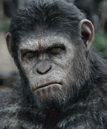 César | Wiki El planeta de los simios | Fandom