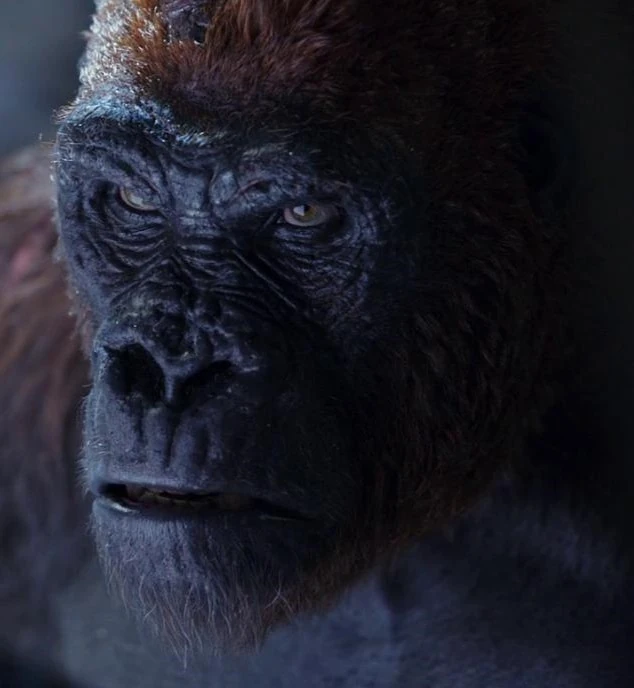 Red | Wiki El planeta de los simios | Fandom