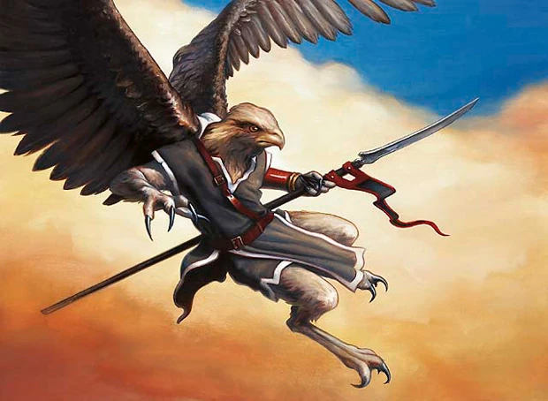 Aarakocra | Elrithorn Wikia | Fandom