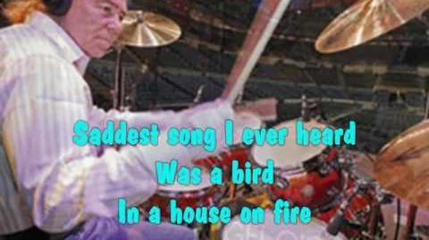 Building A Bird | Elton John Songs Wiki | Fandom