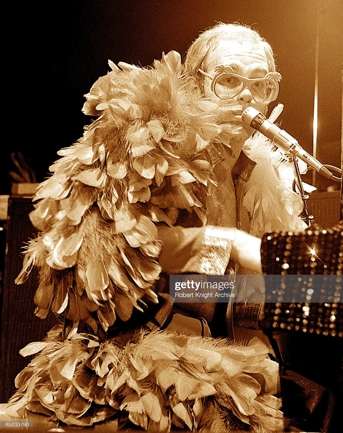 Caribou Tour | Wiki Rocketman | Fandom