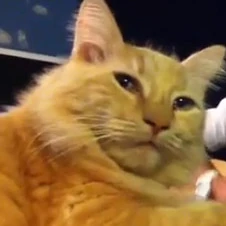 Zuni | Emblem3 Wiki | Fandom