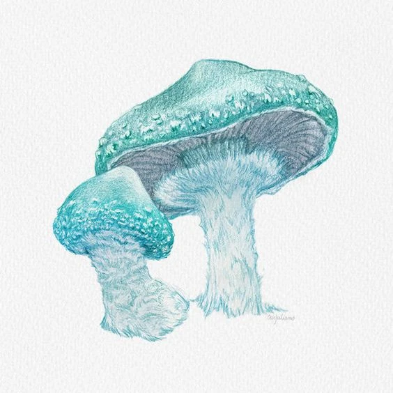 Azurecap | Renderrs' DnD Resource | Fandom