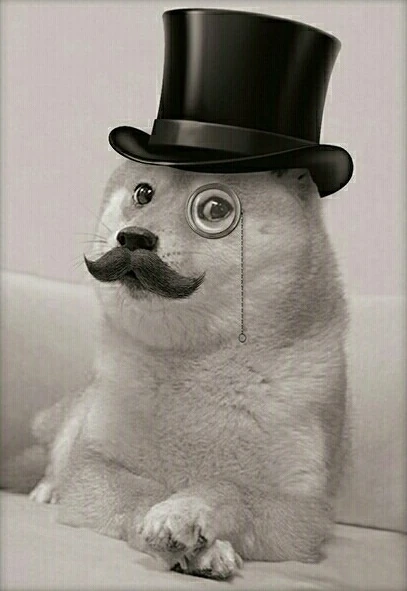 Dr. Professor Doge's Literary Works | Renderrs' DnD Resource | Fandom