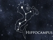 Astrological Zodiac Signs | Renderrs' DnD Resource | Fandom