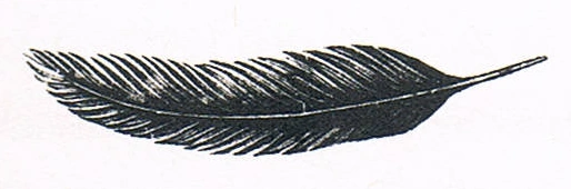 The Emerald Atlas:Chapter 1 | The Books of Beginning Wiki | Fandom